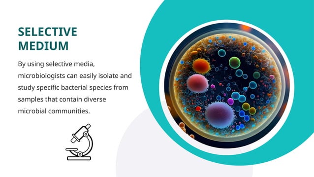 SELECTIVE MEDIUM AS A TOOL TO ISOLATE AND CHARACTERIZE BACTERIA | PPT