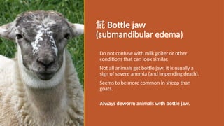 Selective methods of effective deworming.pptx