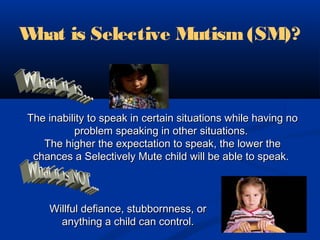 Selective mutism | PPT