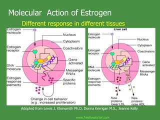 Selective oestogen receptor modulators | PPT