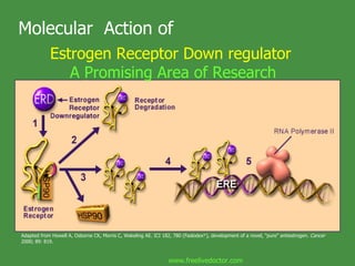 Selective oestogen receptor modulators | PPT