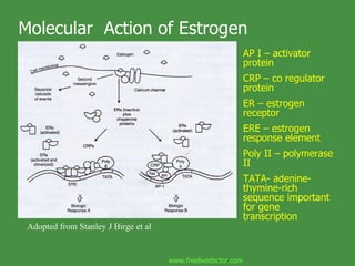 Selective oestogen receptor modulators | PPT