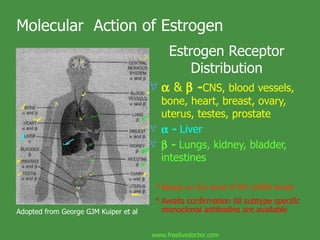 Selective oestogen receptor modulators | PPT
