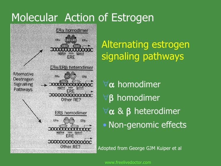 Selective Oestogen Receptor Modulators