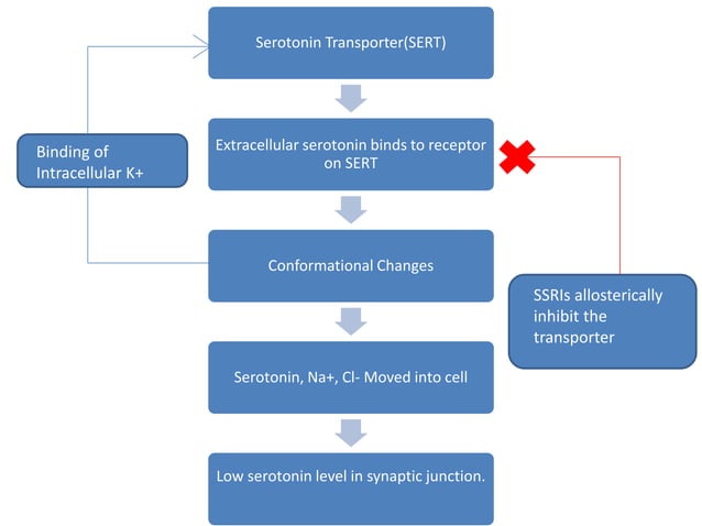 Selective serotonin re-uptake inhibitors (SSRIs) | PPTX | Brain and ...