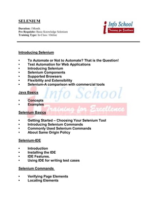 Selenium | PDF | Web Development | Internet