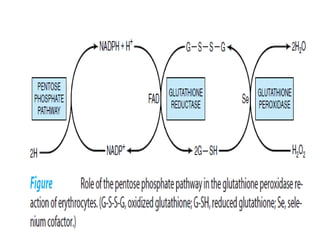 selenium metabolism in human body for mbbs students | PPT