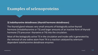 Selenium- chemistry, functions and clinical significance | PDF