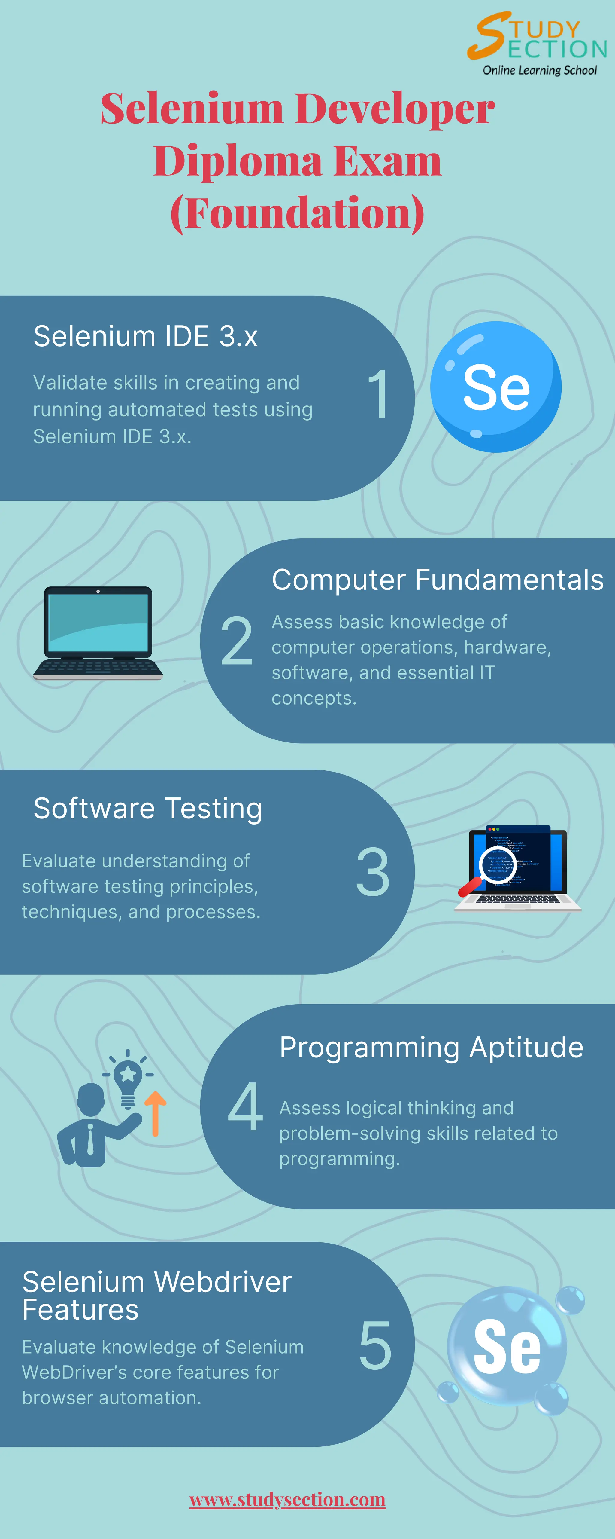 Selenium Developer Diploma Exam (Foundation) | PDF