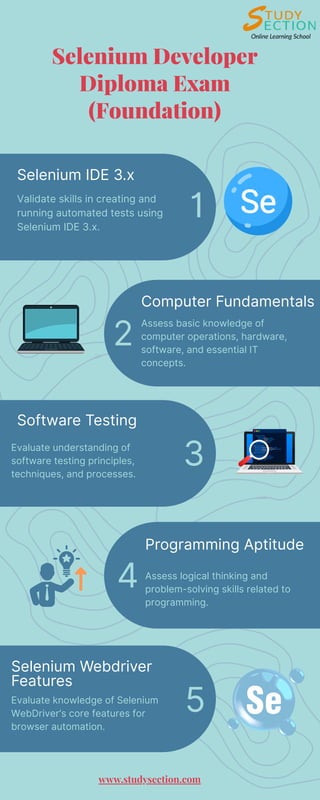 Selenium Developer Diploma Exam (Foundation) | PDF