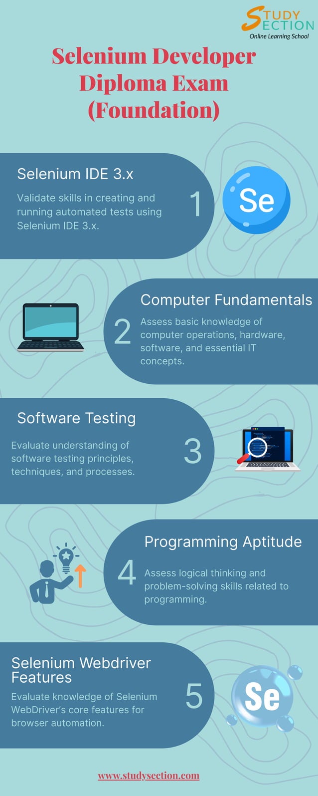Selenium Developer Diploma Exam (Foundation) | PDF