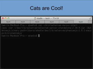 Selenium IDE and Beyond | PPT | Free Download