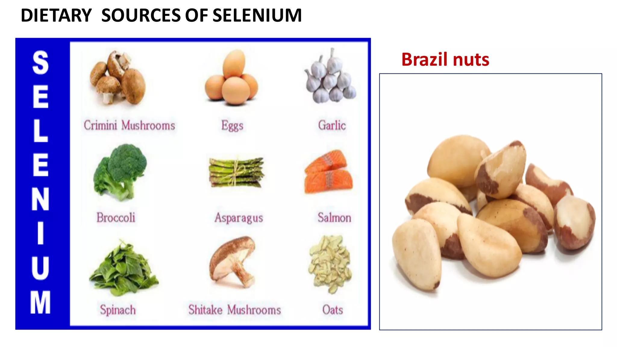 Selenium metabolism and its clinical significance | PPT