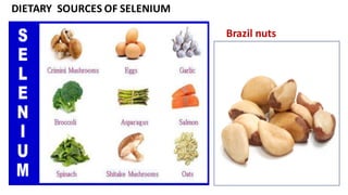 Selenium metabolism and its clinical significance | PDF