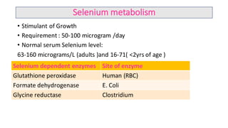 Selenium metabolism and its clinical significance | PDF