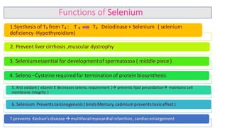 Selenium metabolism and its clinical significance | PDF