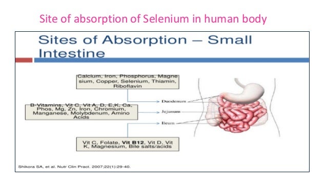 Selenium metabolism and its clinical significance Selenium metabolism and its clinical significance