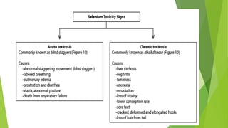 selenium toxicity final pptx | PPTX