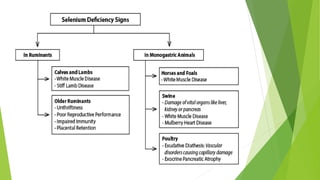 selenium toxicity final pptx | PPTX