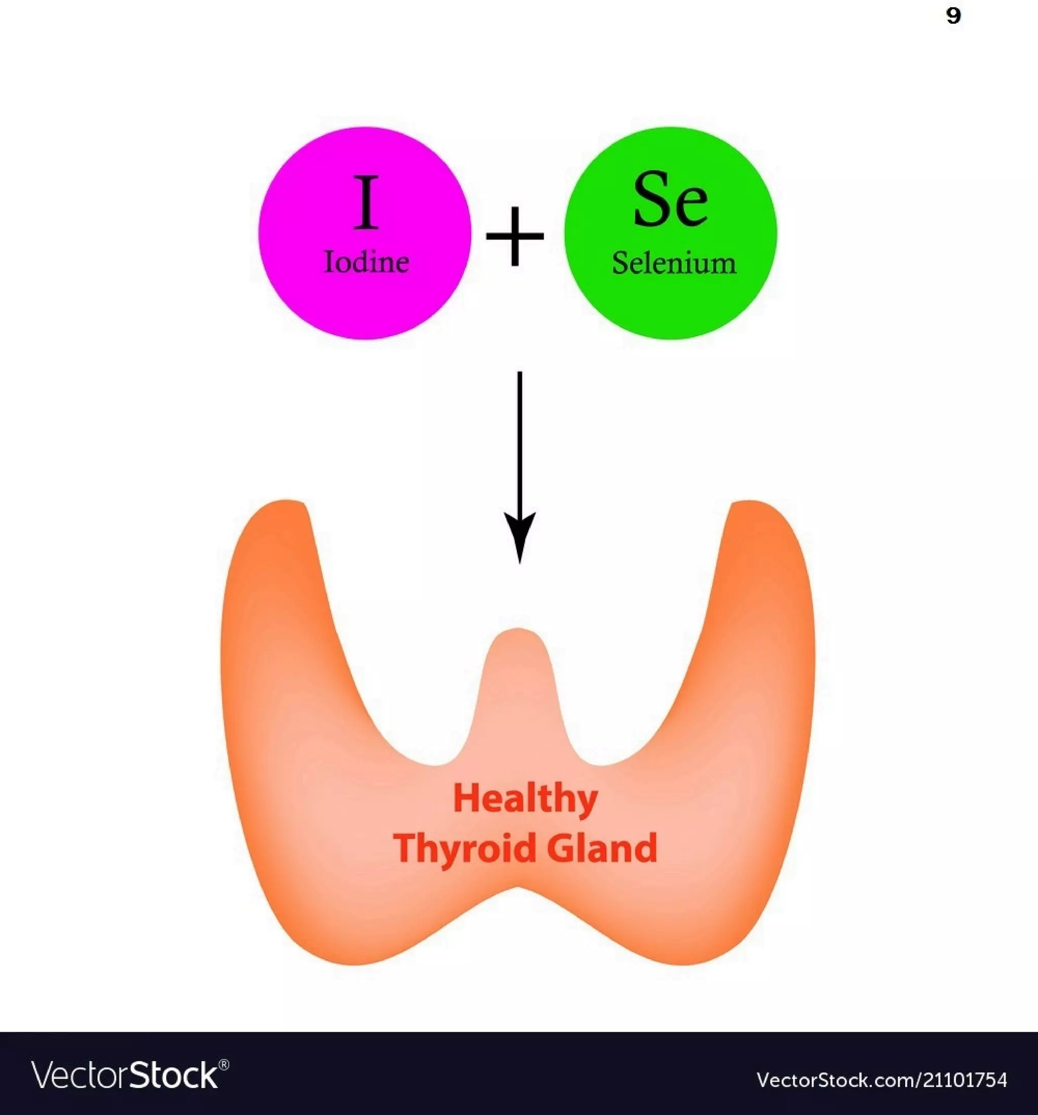 Selenium Updated.pdf