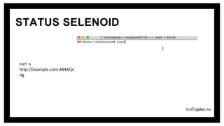 Selenoid + Allure - How to use these tools together? | PPTX | Computing | Technology & Computing