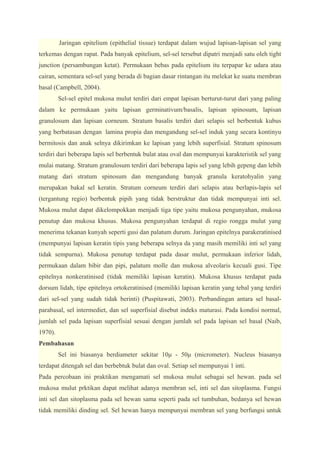 Sel epitel pada permukaan pipi bagian dalam | DOC