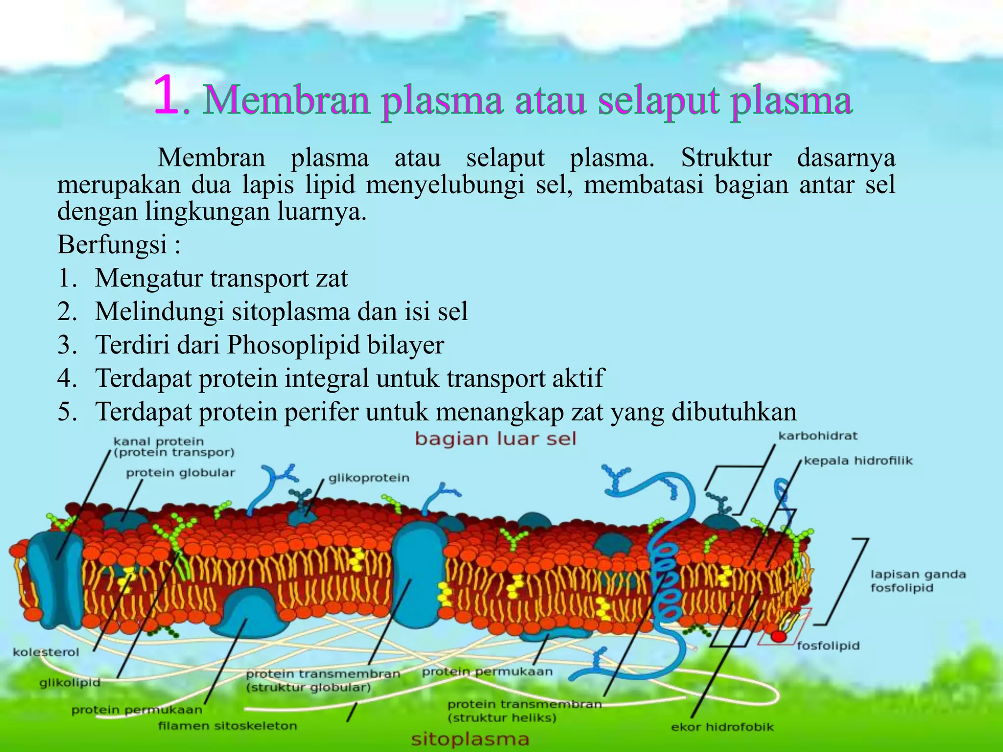 Sel eukariotik dan prokariotik | PPTX