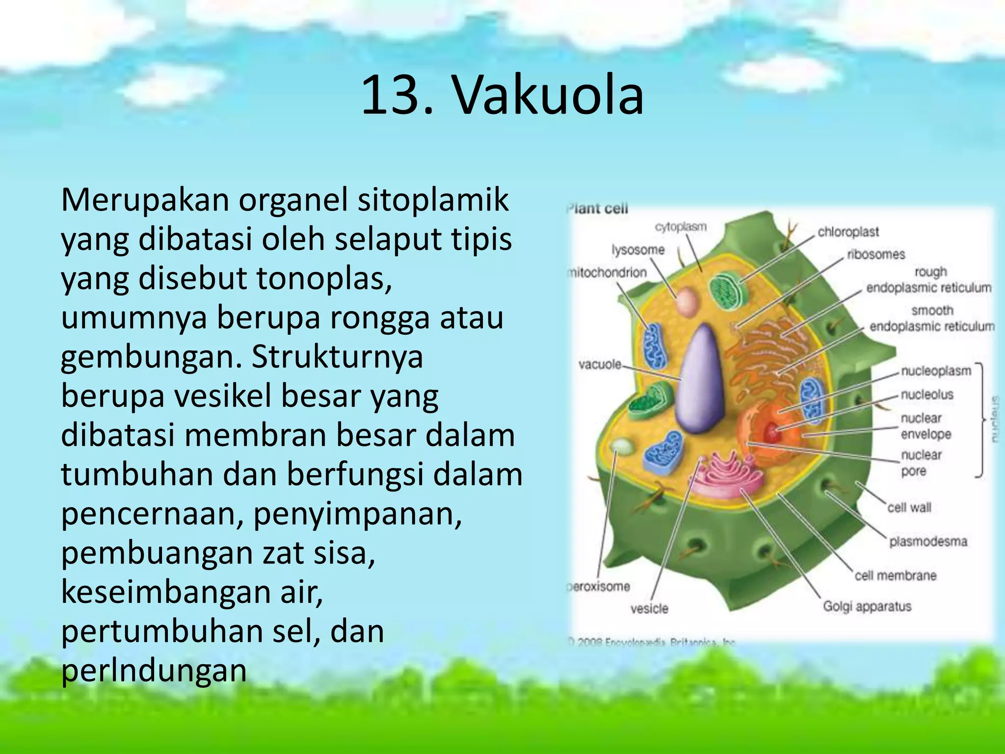 Sel eukariotik dan prokariotik | PPTX