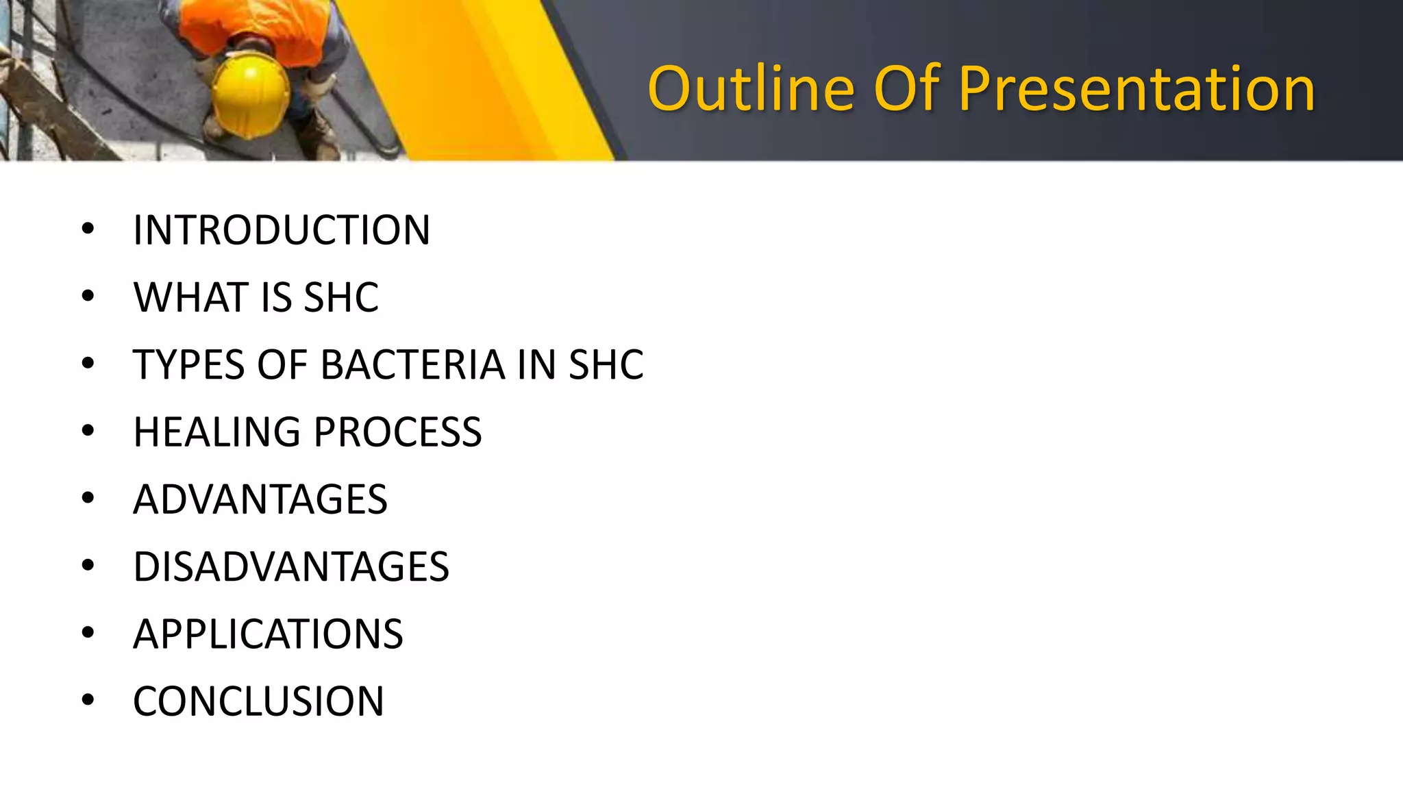 Self Healing Concrete or Bio Concrete | PPTX