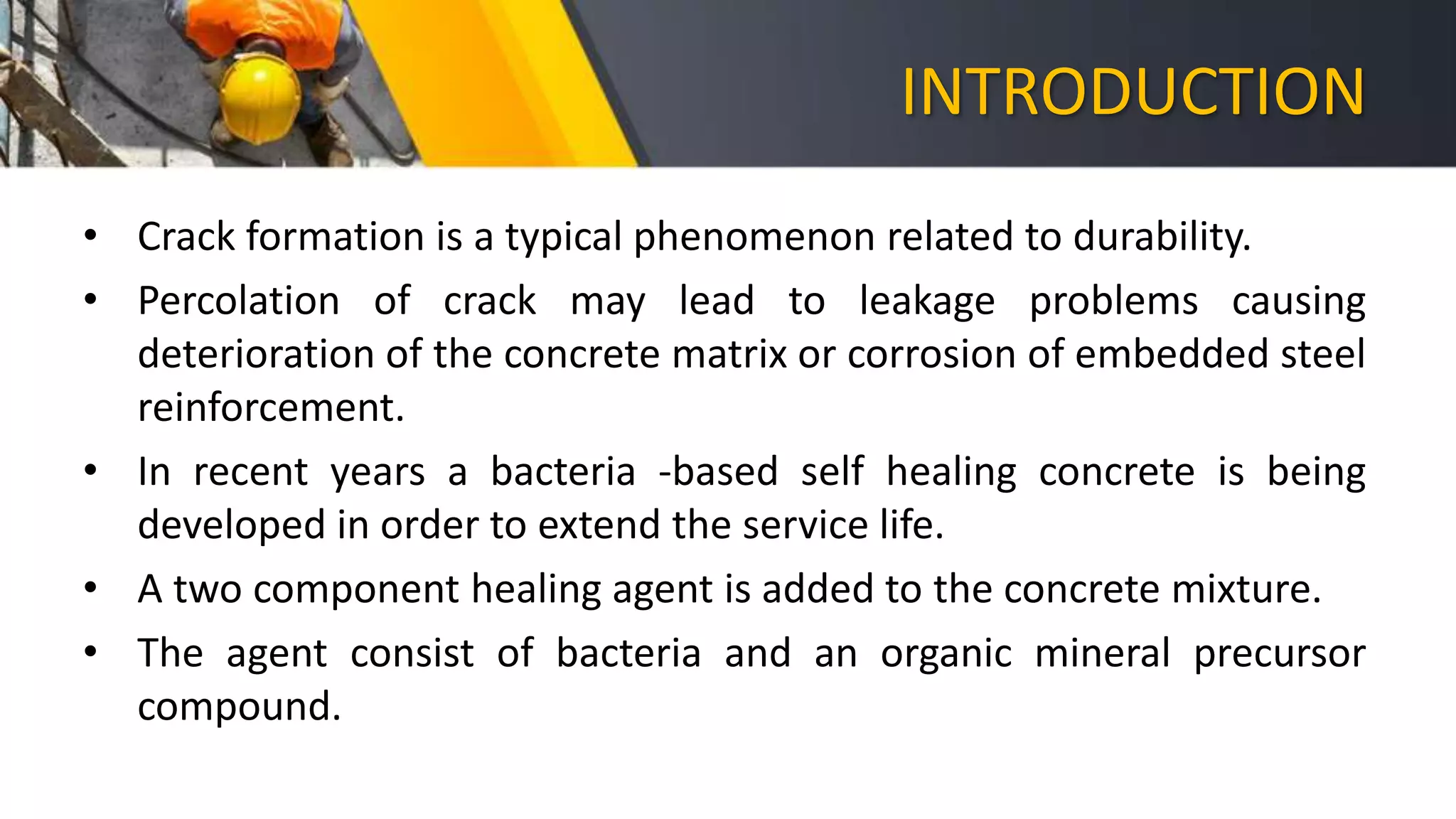 Self Healing Concrete or Bio Concrete | PPTX