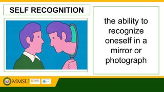 SELF-AND-SOCIAL-UNDERSTANDING.pptx