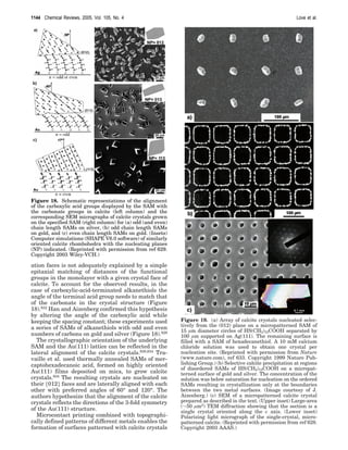Self assembled monolayers | PDF