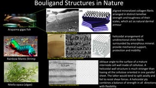 The Nature of Design: Self Assembly from nano to macro scale for ...