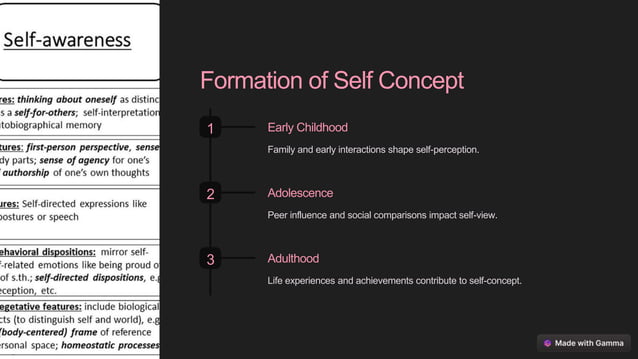 Self-Concept.pptx.........................so