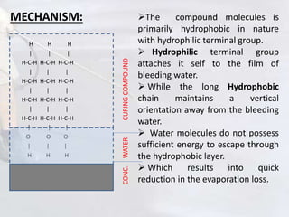 Self-Curing-Concrete-Civil.pptx