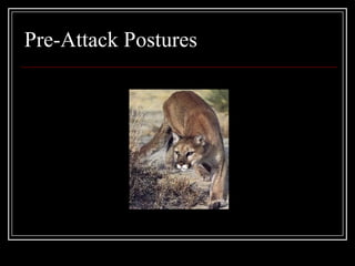 Self Defense Powerpoint Presentation | PPT