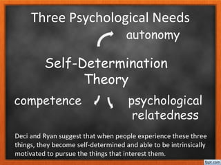 Self determination theory | PPT