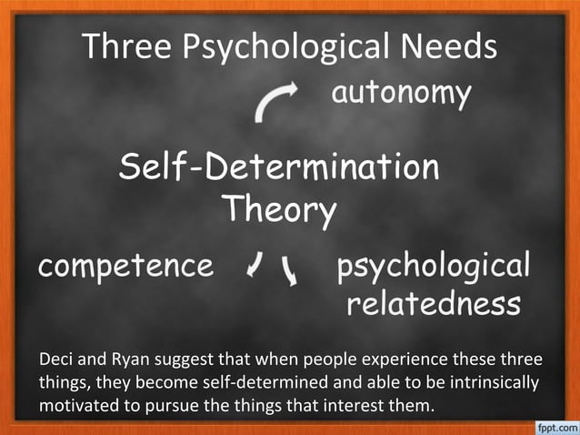 Self determination theory | PPT