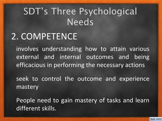 Self determination theory | PPT