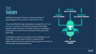 Self Determination Theory | PDF