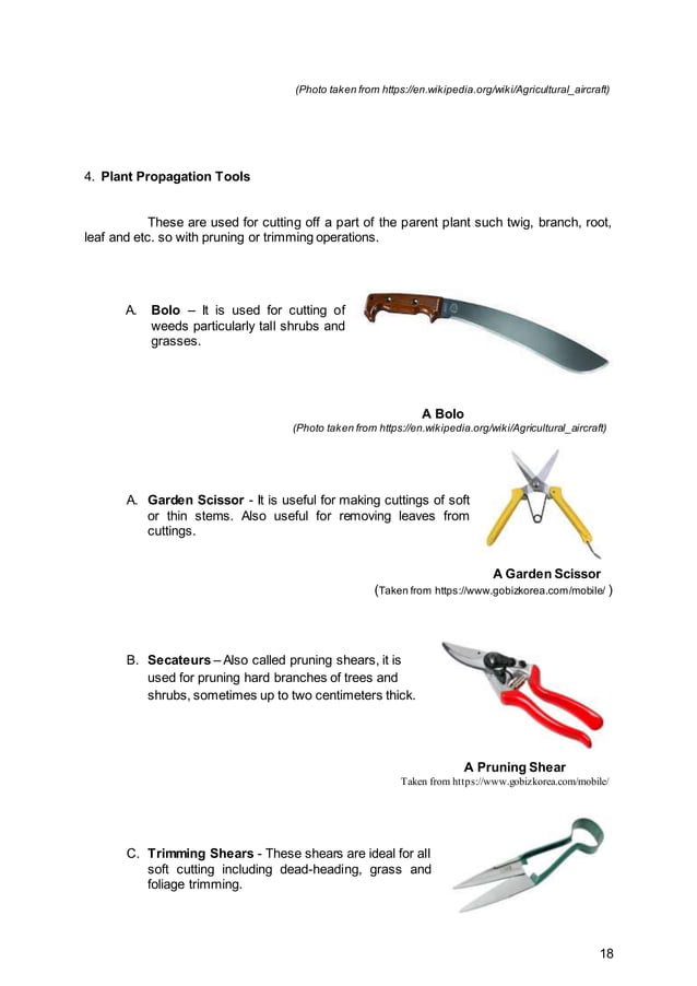 Self-Directed Learning Module in T.L.E. 10 (Agricultural Crops ...