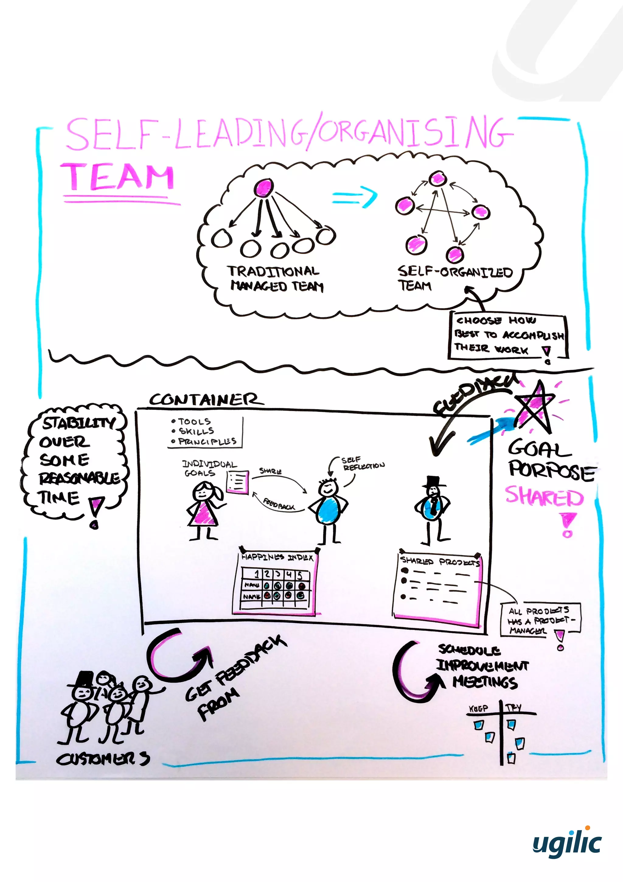 Self directing teams | PDF