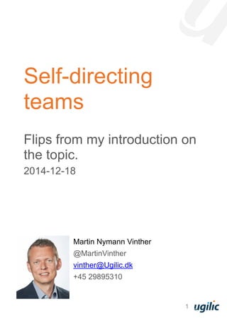 Self directing teams | PDF