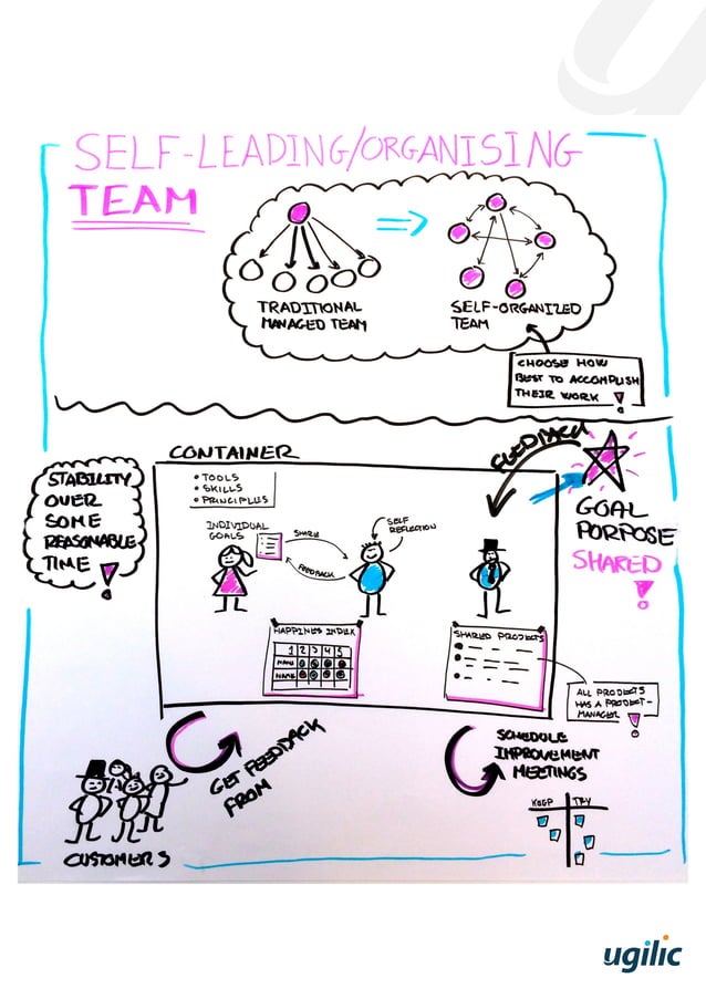 Self directing teams | PDF