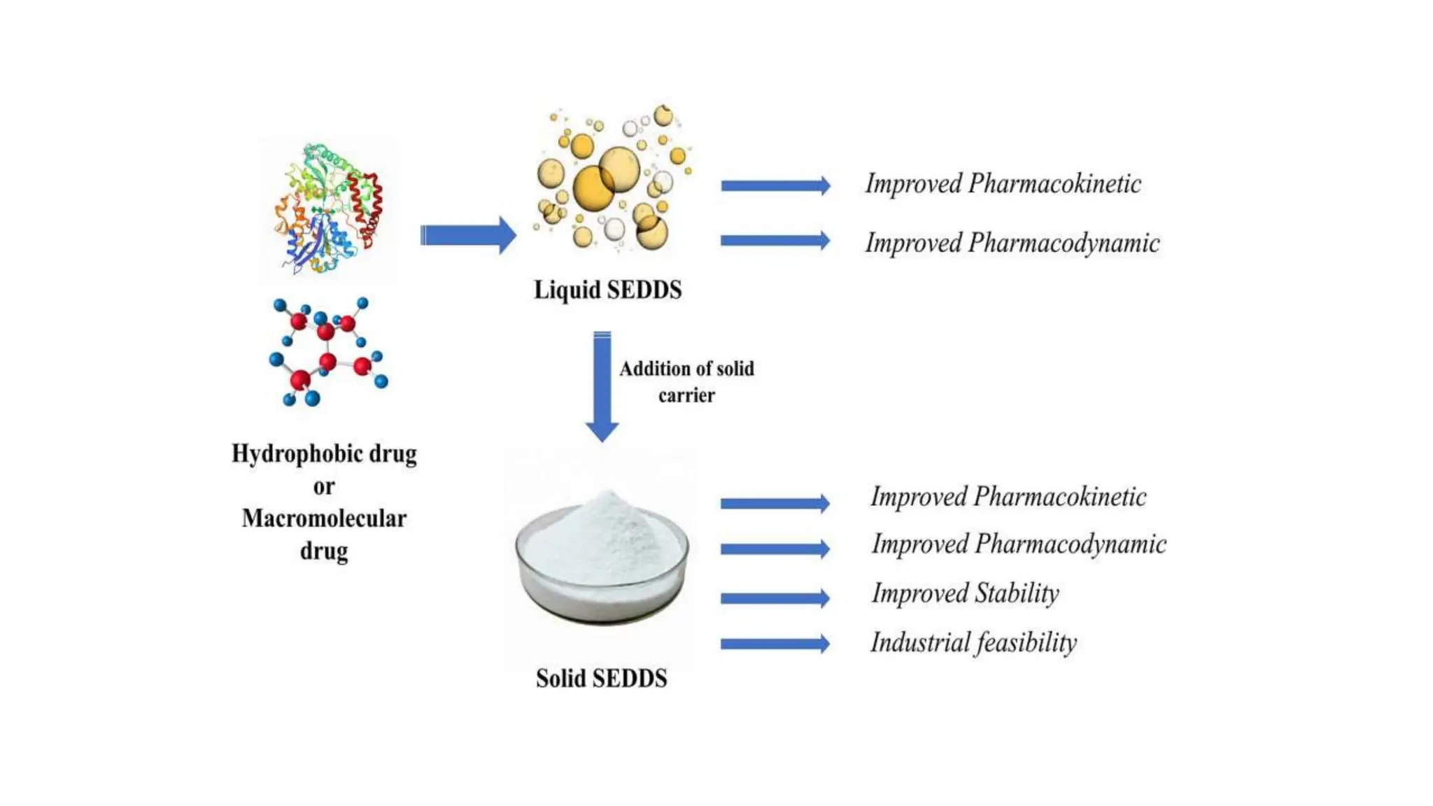 Self Emulsifying Drug Delivery System Sedds Pptx