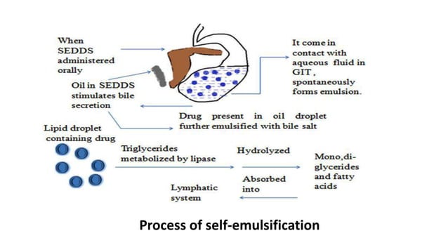Self Emulsifying Drug Delivery System Sedds Pptx Chemistry Science