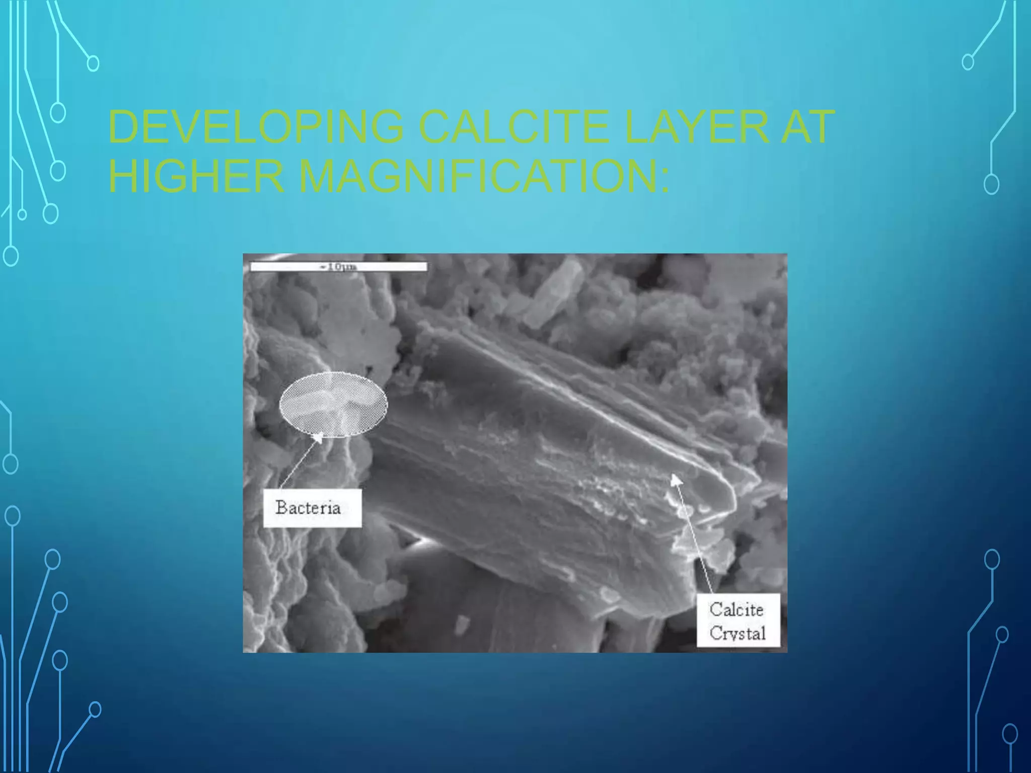 Self healing-material-bacterial-concrete | PPTX