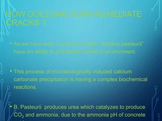 Self healing-material-bacterial-concrete | PPTX | Chemistry | Science