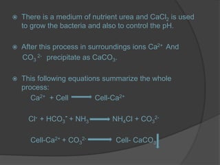 SELF-HEALING-MATERIAL-BACTERIAL-CONCRETE.pptx
