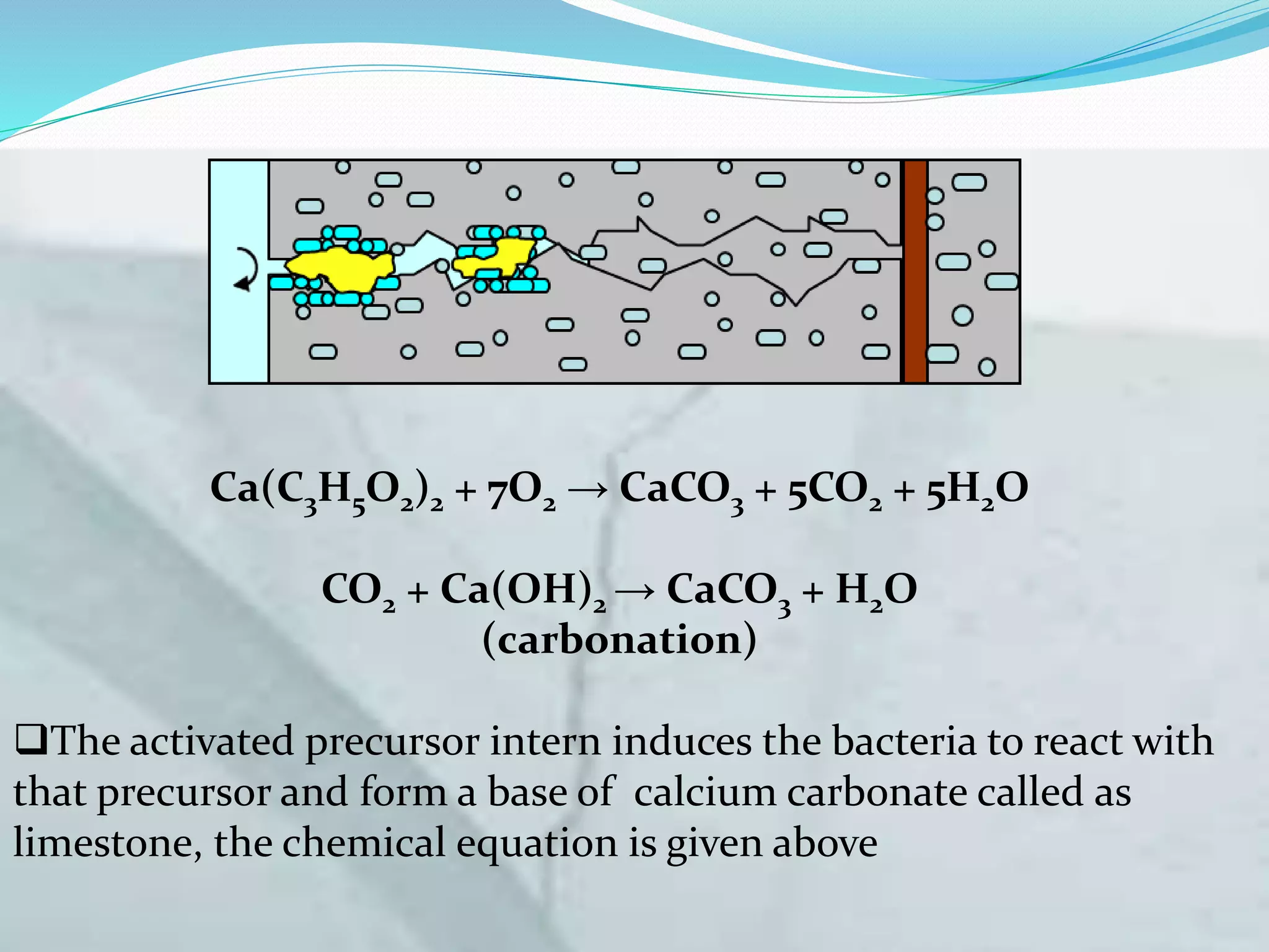 Self healing bacterial concrete | PPTX